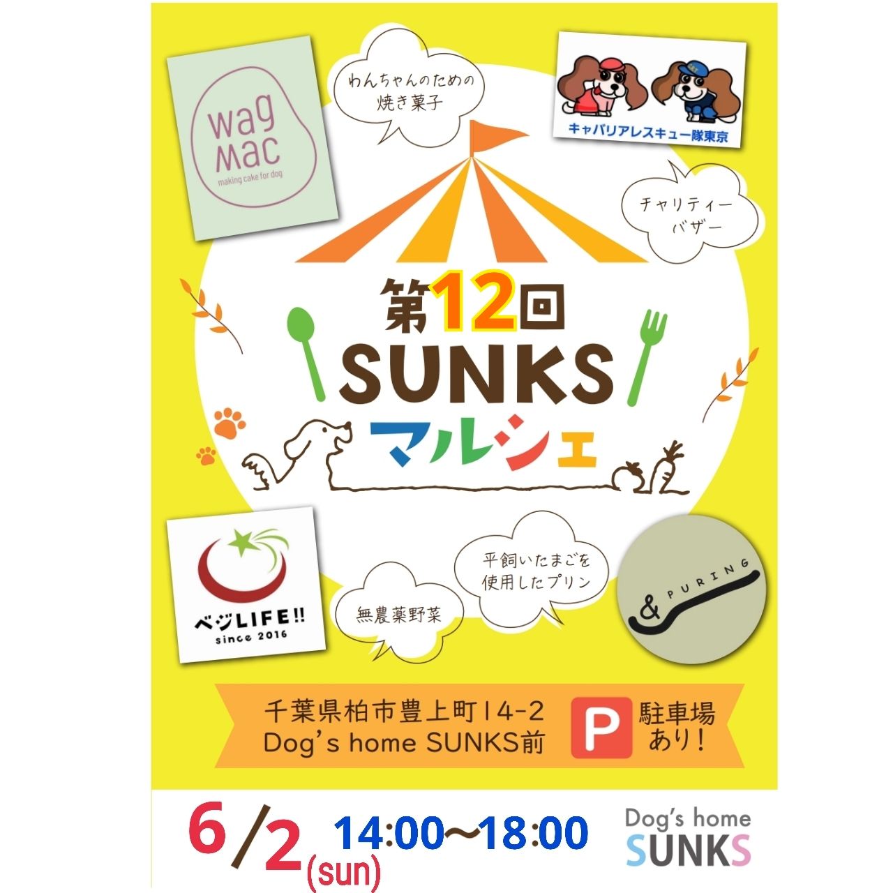 NEWS | dog's home sunks ドッグズホームサンクス